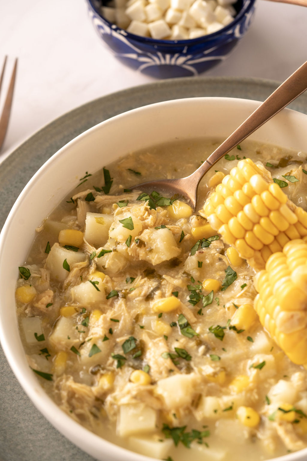 Chupe Peruano de Pollo - CayenaCayena